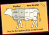 Kosher or Not: Learn the Difference - AllJewishLinks